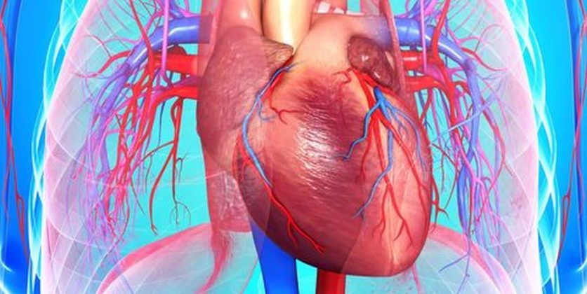 Kako se mijenja oblik srca - eKako